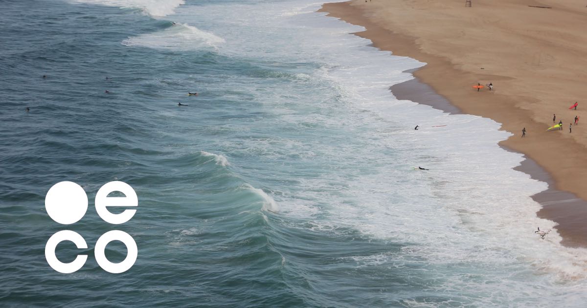 Sign in | .eco profiles